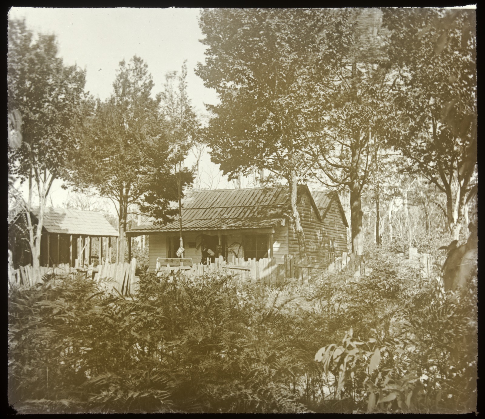 William Colston 1852-1891 Was the Double Murderer Insane? – Speak of ...